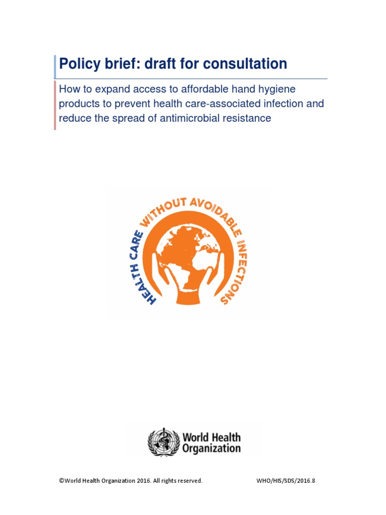 Policy Brief ABHR Consultation | PDF | World Health Organization | Hand ...