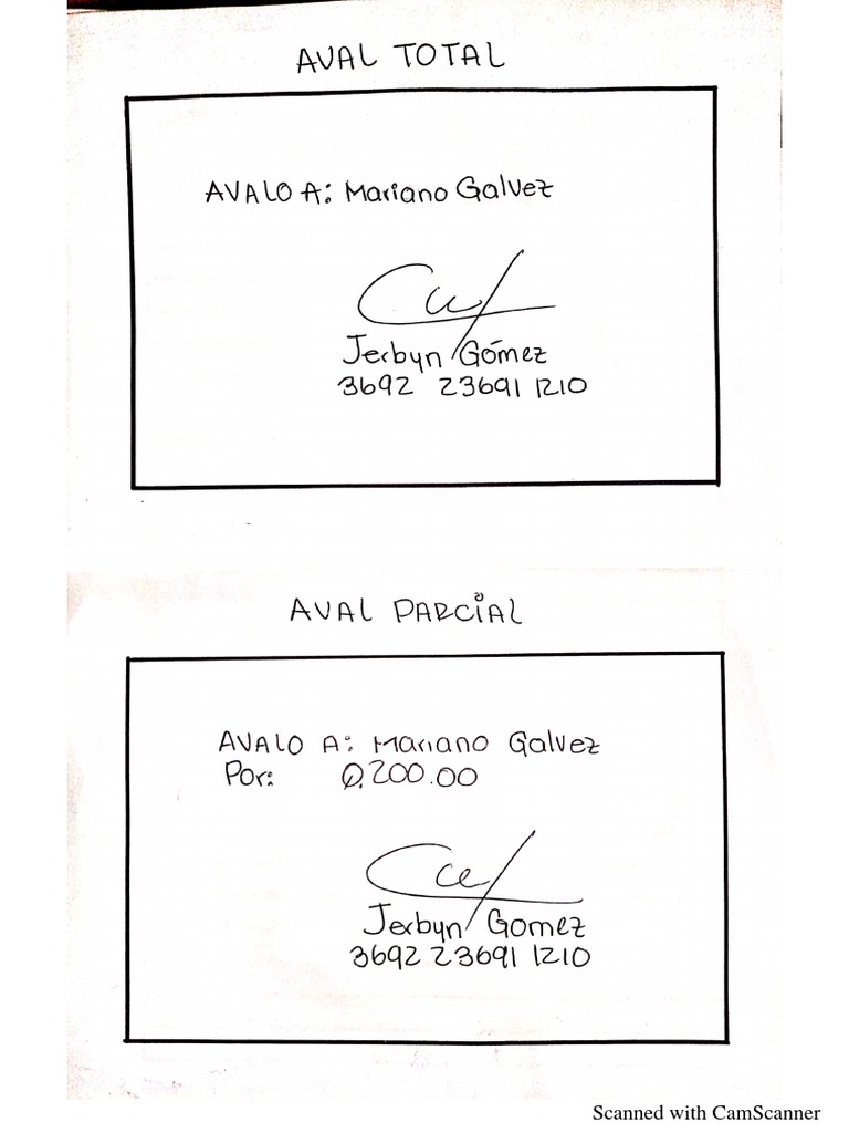 Aval Total y Parcial PDF | PDF