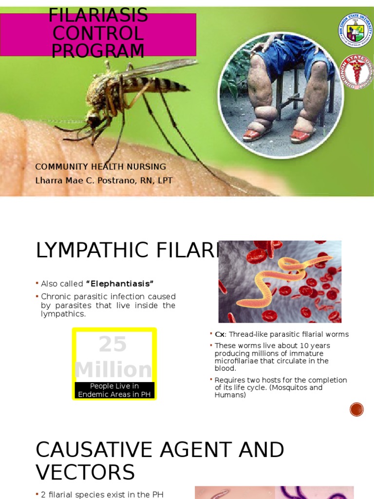 Filariasis Control Program | PDF | Parasitology | Diseases And Disorders