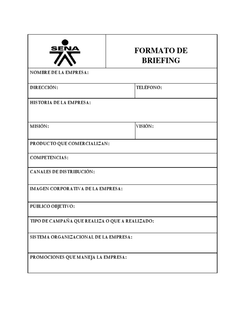 Formatos Briefing y Ficha Tecnica PDF | PDF
