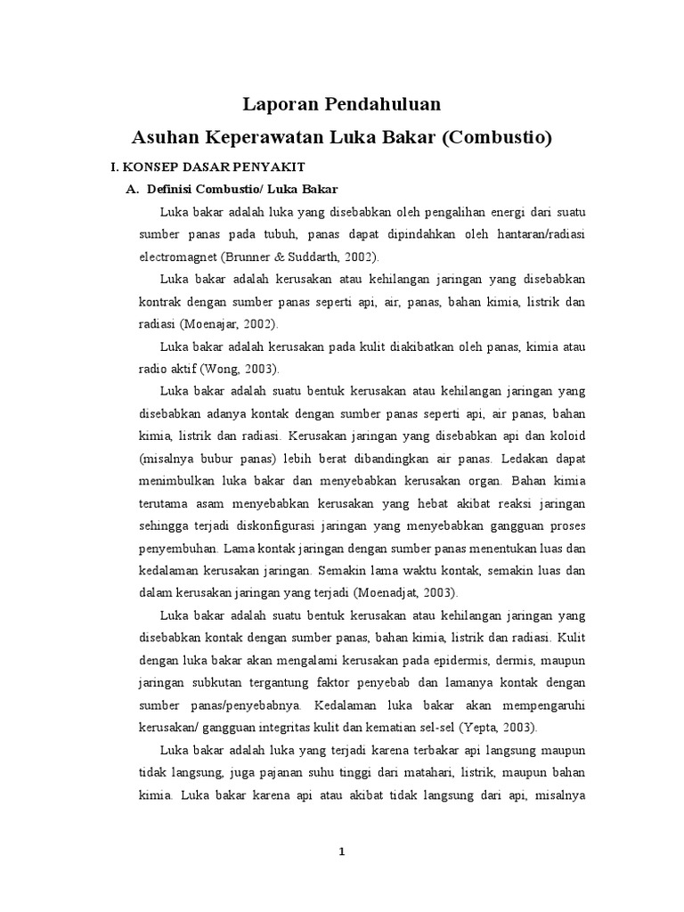 Amang LP Combustio IBS | PDF