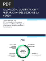 Escala de Flebitis | PDF