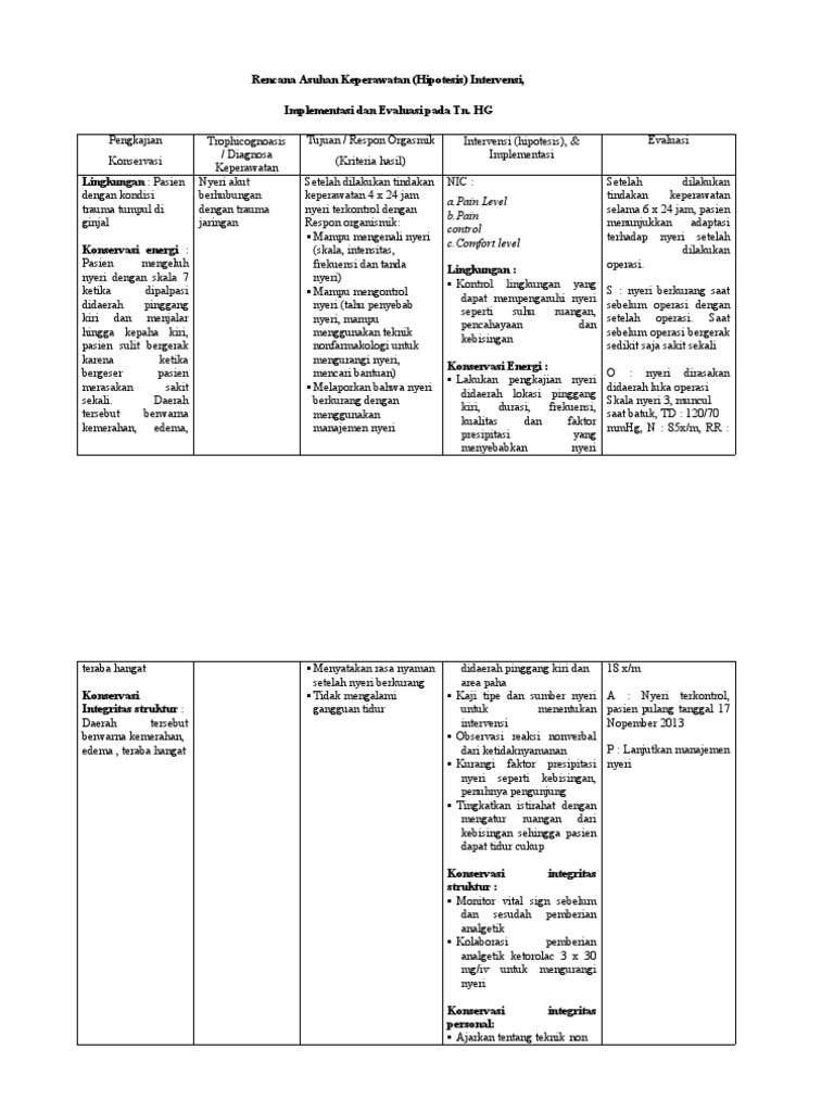 Tabel Rencana Asuhan Keperawatan | PDF