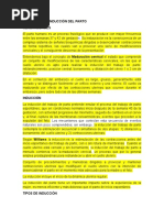 Maniobra de Ritgen | PDF | Parto | Reproducción