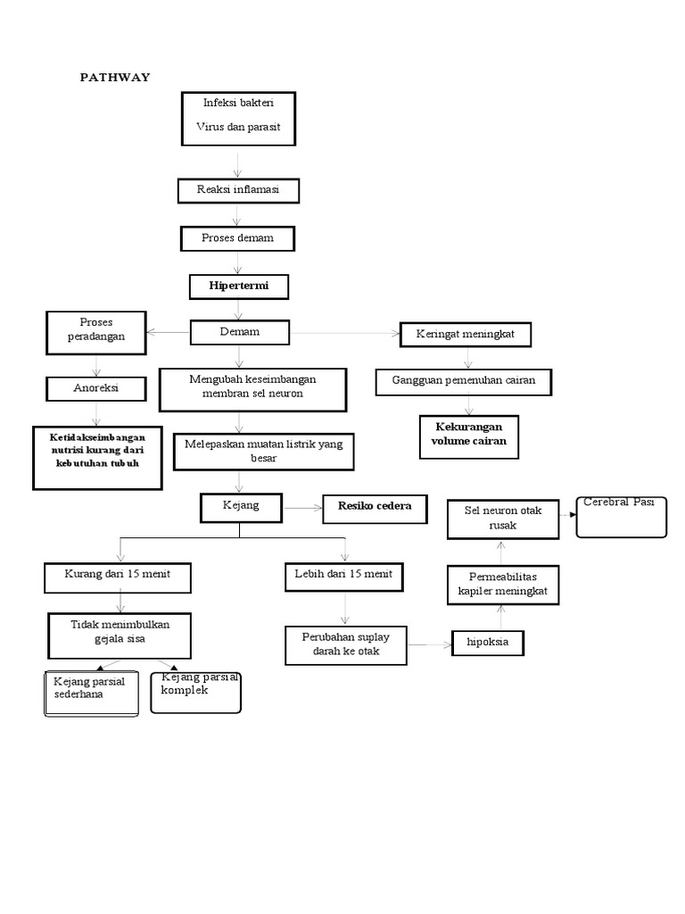 Pathway Kejang Demam | PDF