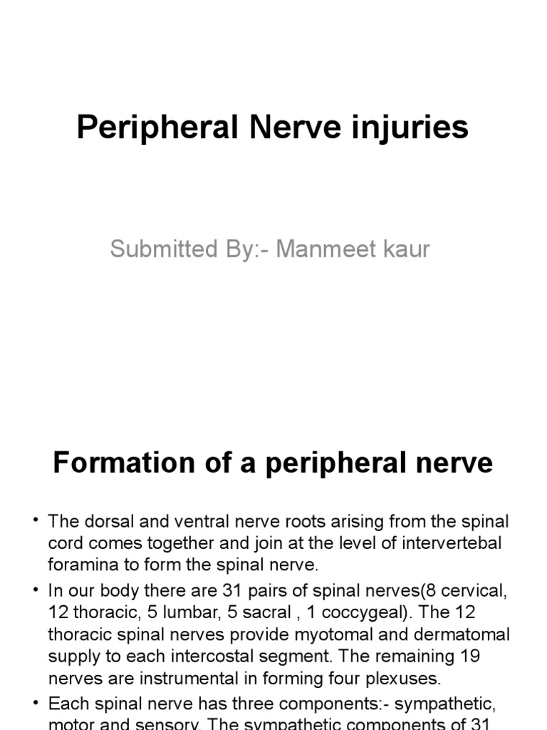 Peripheral Nerve Injuries Pdf Thumb Human Leg