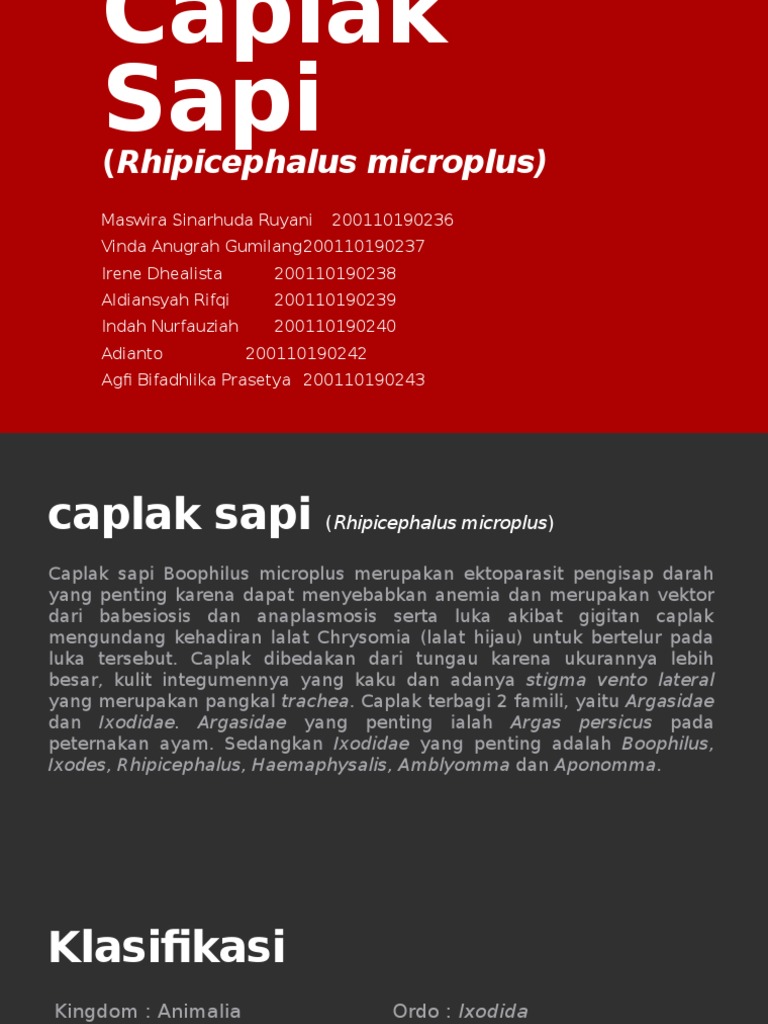 Caplak Sapi: Morfologi dan Siklus Hidup | PDF | Sains & Matematika