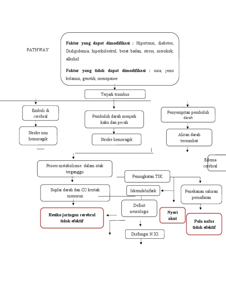 Pathflow Stroke Rev New | PDF