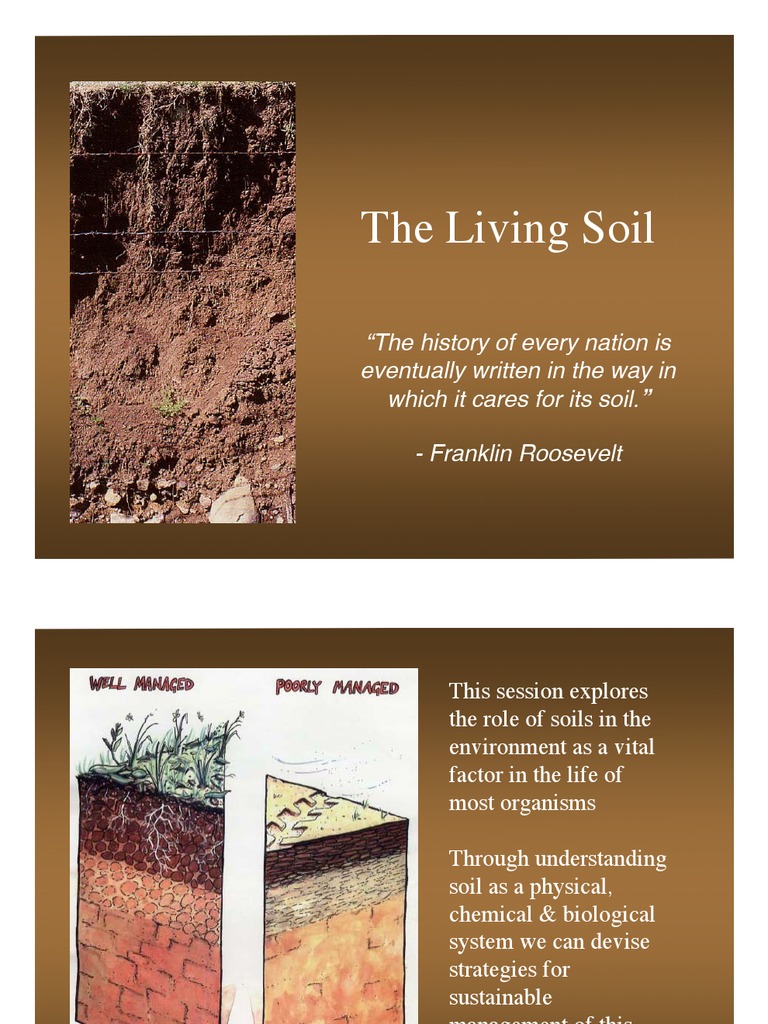 LivingSoil WarrenBrush | PDF | Soil | Root