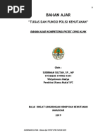 Memorandum Dan SK Dirjen Panduan Patroli SMART Tahun 2025 | PDF