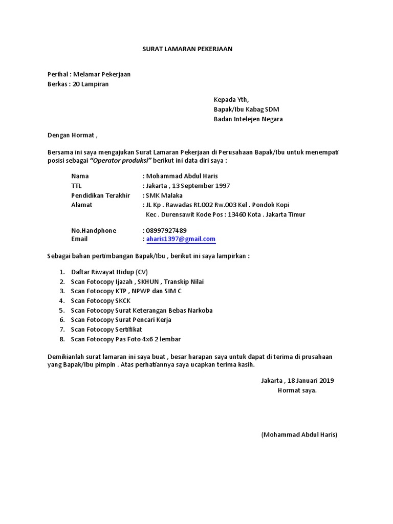 Biodata dan Surat Lamaran Kerja | PDF