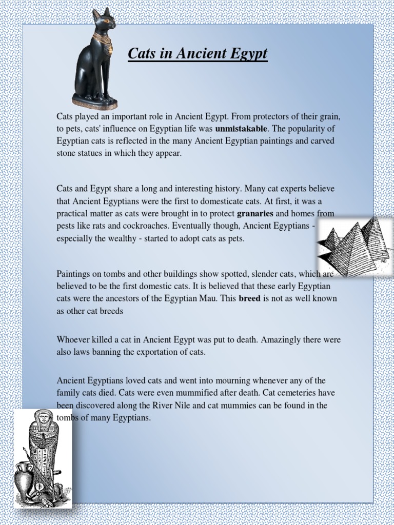 Cats in Ancient Egypt Reading Comprehension Exercises - 28335 | PDF ...