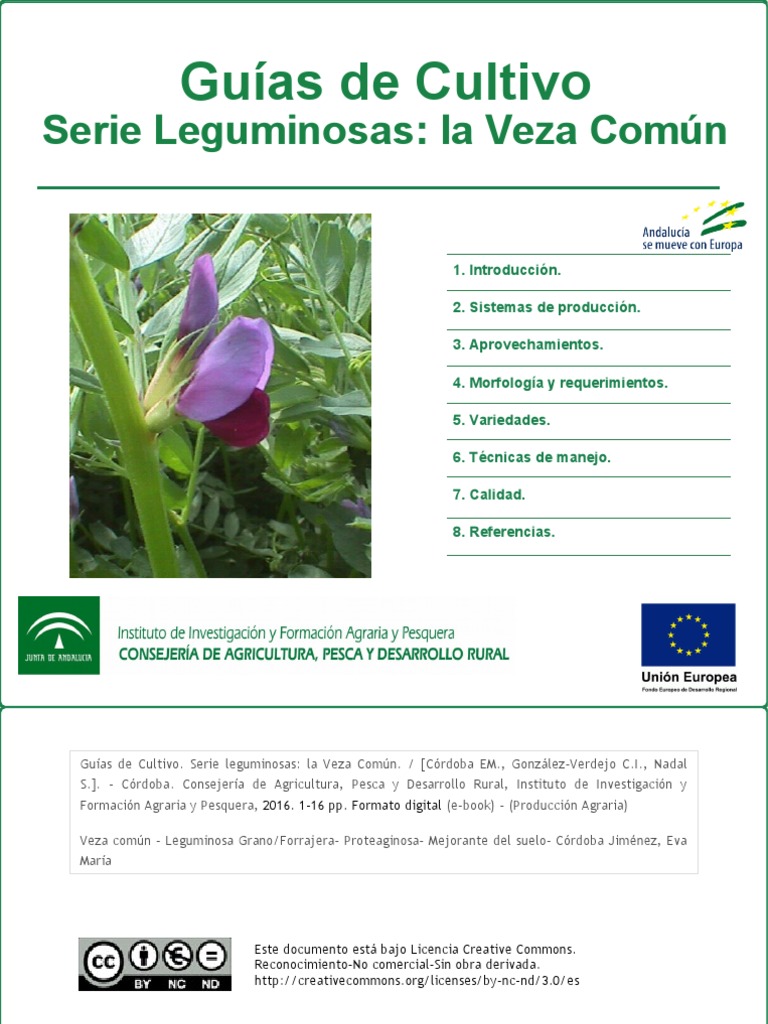 Guía de Cultivo de Veza Común | PDF | Siembra | Agricultura