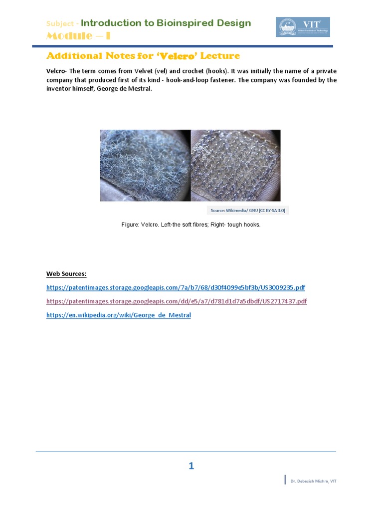 Bioinspired Design: Velcro Insights | PDF | Art | Computers