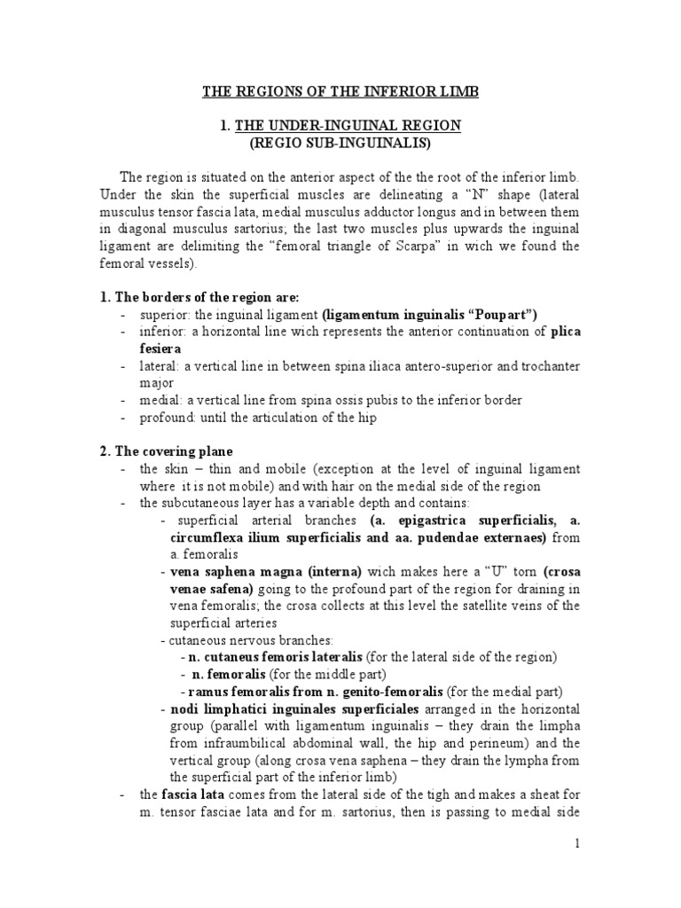 The Regions of The Inferior Limb | PDF | Foot | Finger