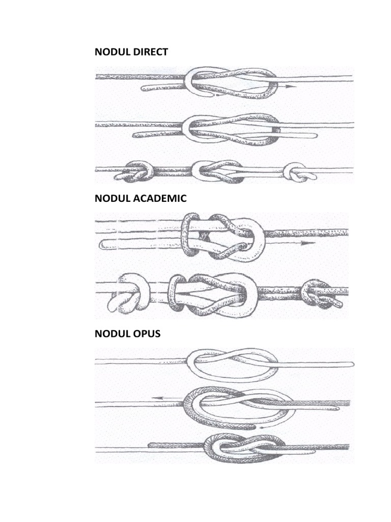 NODURILE | PDF | Science & Mathematics