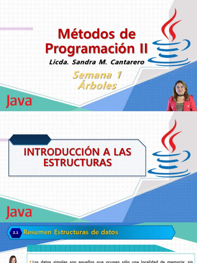 Metodos de Programacion - Arboles PDF | PDF | Algoritmos y Estructuras ...