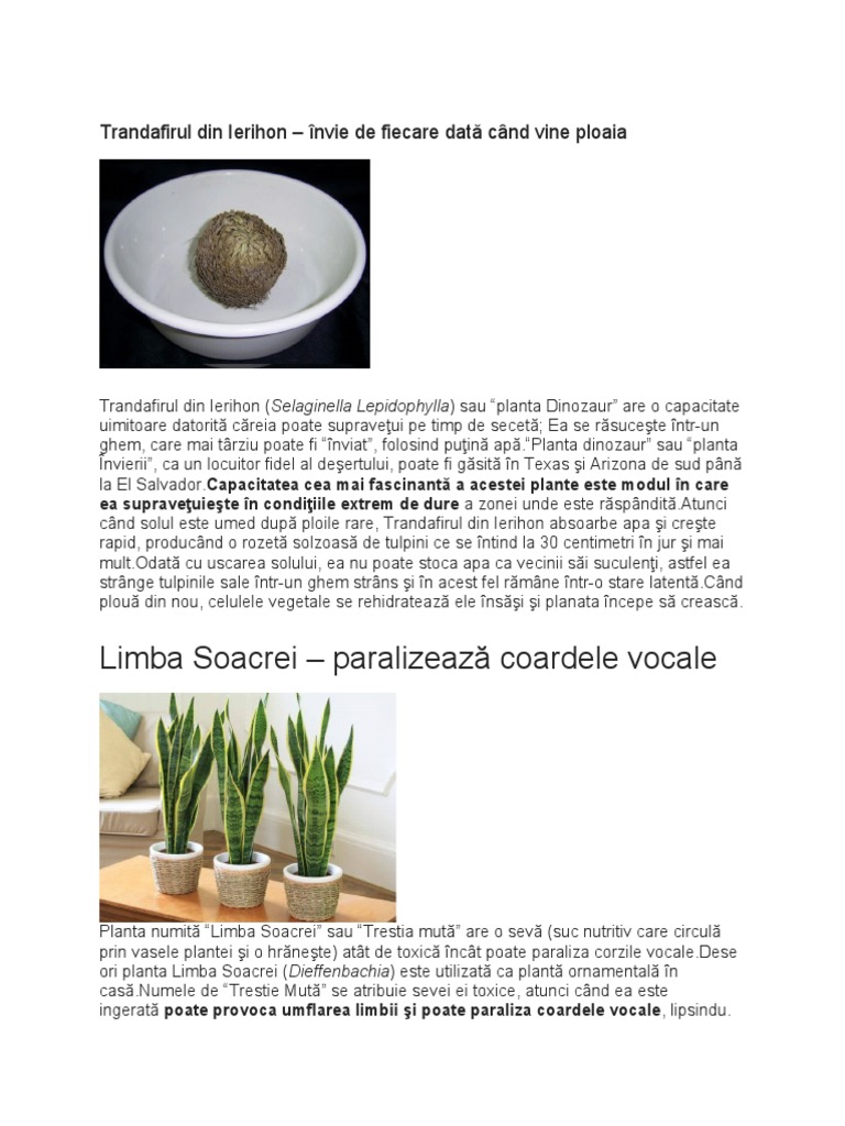 Curiozitati Plante | PDF