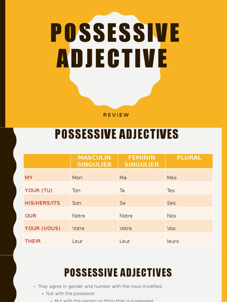 French Possessive Adjectives Guide | PDF | Grammatical Gender ...