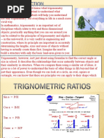 Maths Project | PDF | Trigonometric Functions | Trigonometry