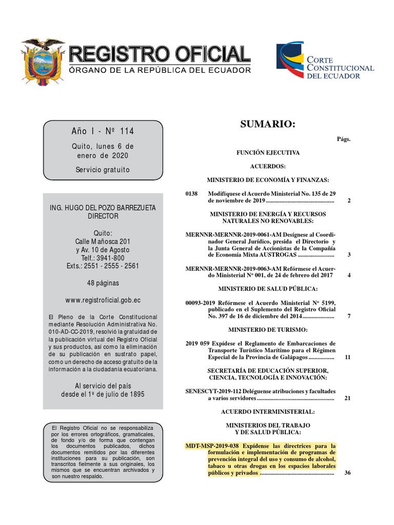 AM No. 38 DIRECTRICES PARA LA FORMULACION E IMPLEMENTACION DE PROGRAMAS DE PREVENCION INTEGRAL ...