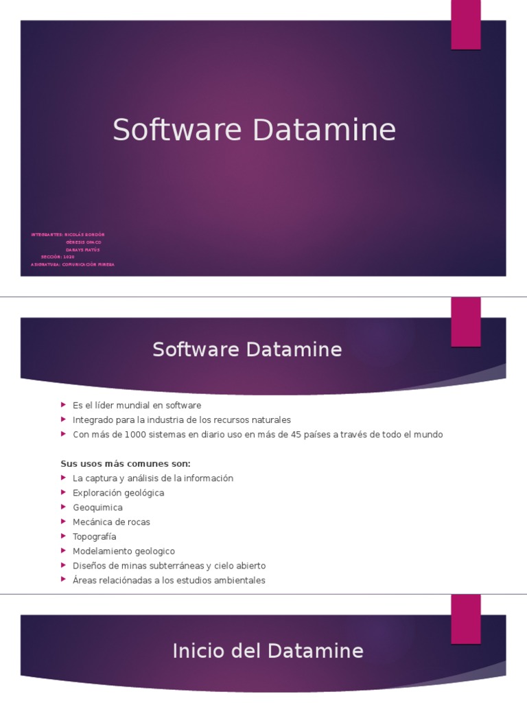 Software Datamine | PDF | Minería | Software