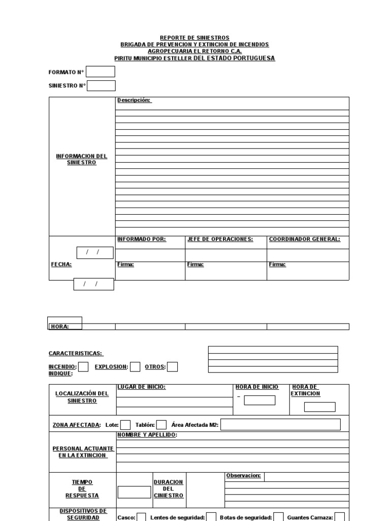 Formato de Siniestros | PDF