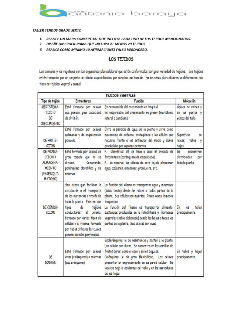 Actividades sobre Tejidos para Sexto Grado | PDF