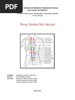 Meridiano e Pontos Do Rim | PDF | Fisiologia Animal | Especialidades ...