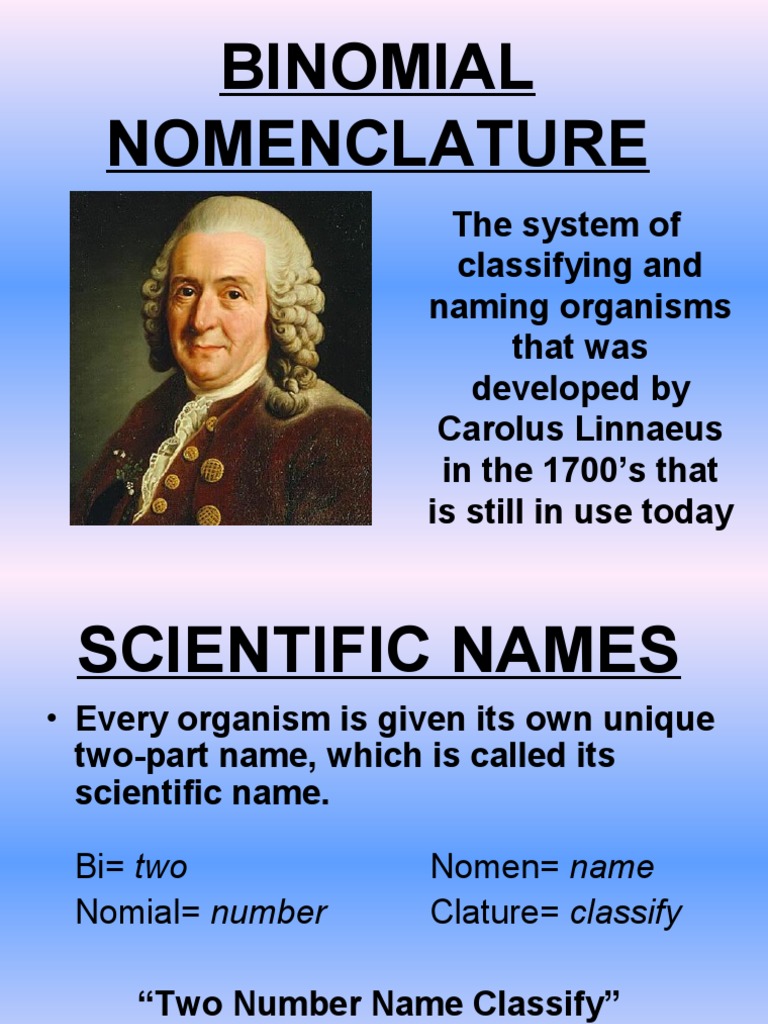 Binomial Nomenclature Scientific Names Presentation | PDF | Genus | Species