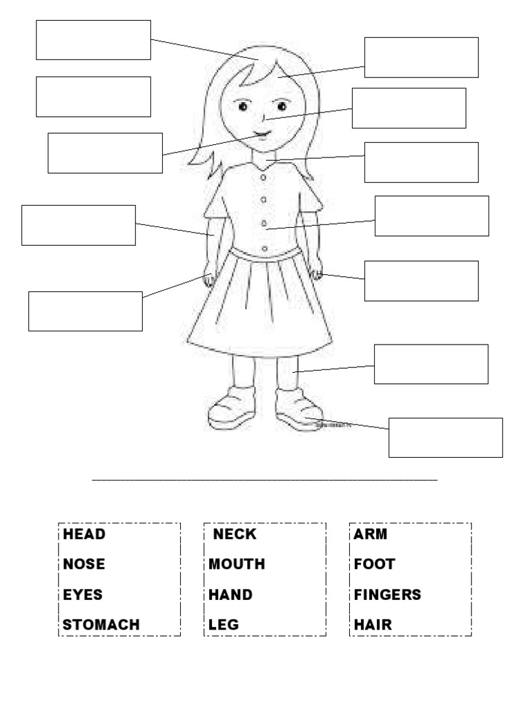 Head Nose Eyes Stomach Neck Mouth Hand LEG ARM Foot Fingers Hair | PDF ...