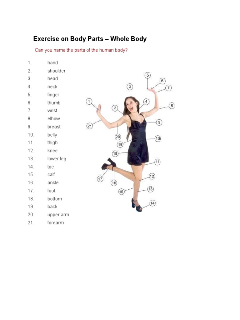 Body Parts Exercise Guide | PDF