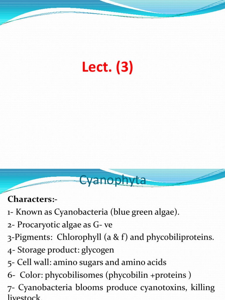 3 - Cyanophyta I Lect.3 PDF | PDF | Cyanobacteria | Cell (Biology)