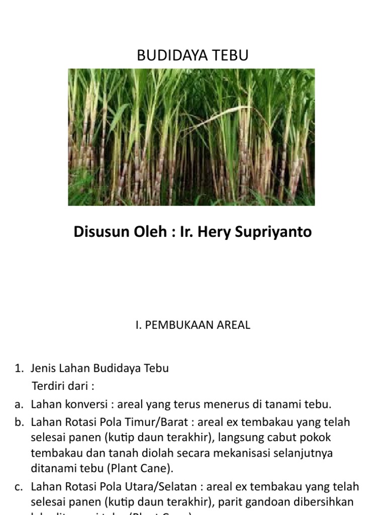 Budidaya Tebu | PDF