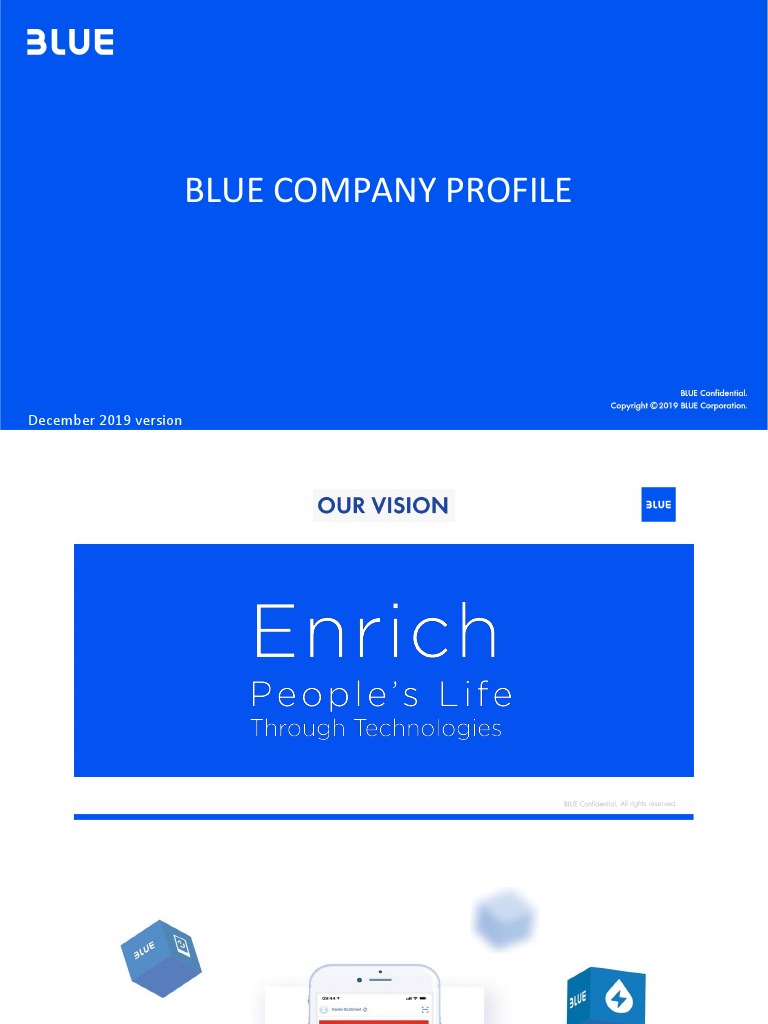 BLUE Company Profile-New PDF | PDF | Financial Technology | Finance ...