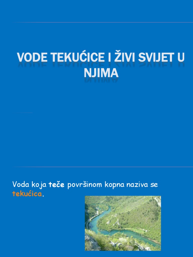 Vode Tekucice I Zivi Svijet U Njima | PDF
