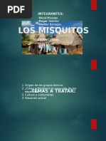 Cultura y Tradiciones de los Misquitos | PDF | Nicaragua | Chamanismo