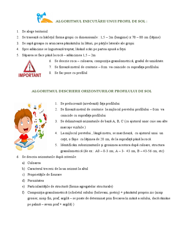 Fisa - ALGORITMUL EXECUTĂRII UNUI PROFIL DE SOL | PDF