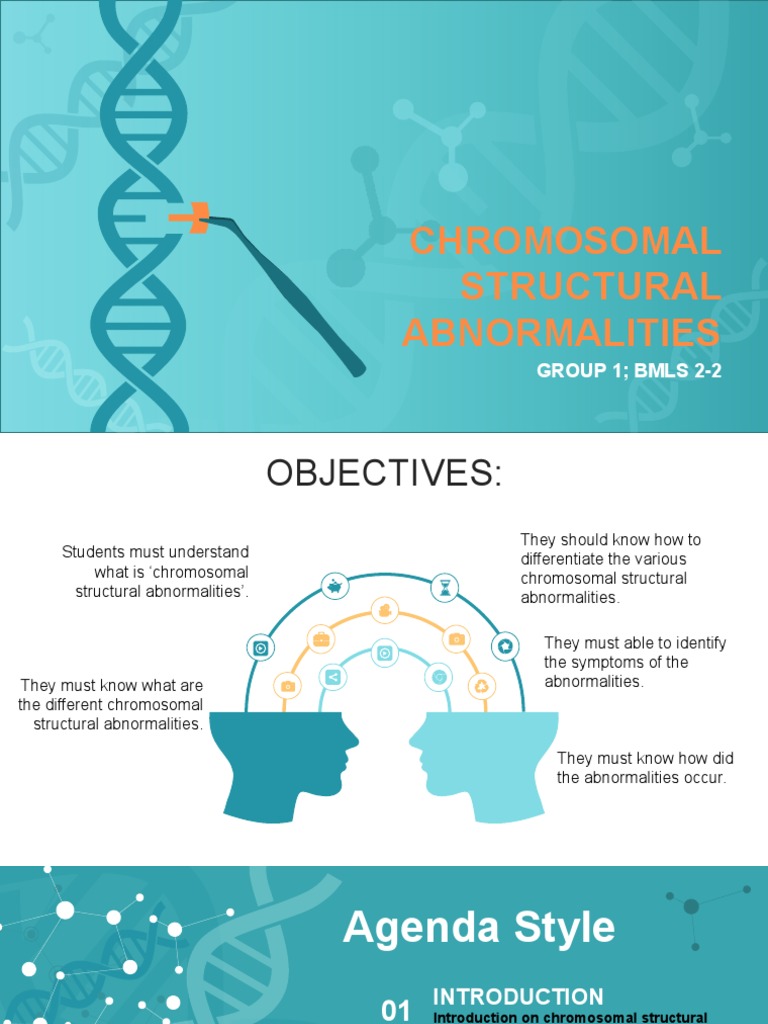 Understanding Chromosomal Structural Abnormalities | PDF | Genetics ...