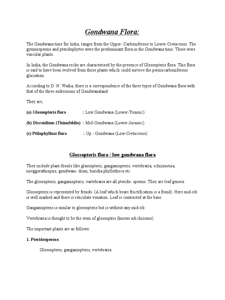 Glossopteris Flora / Low Gondwana Flora | PDF | Leaf | Plants