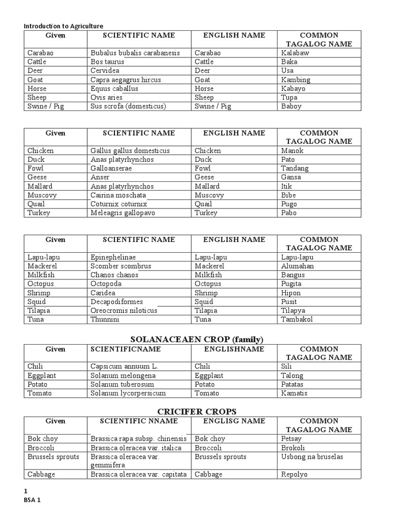 Scintific Names Without Pictures | PDF | Maize | Cabbage