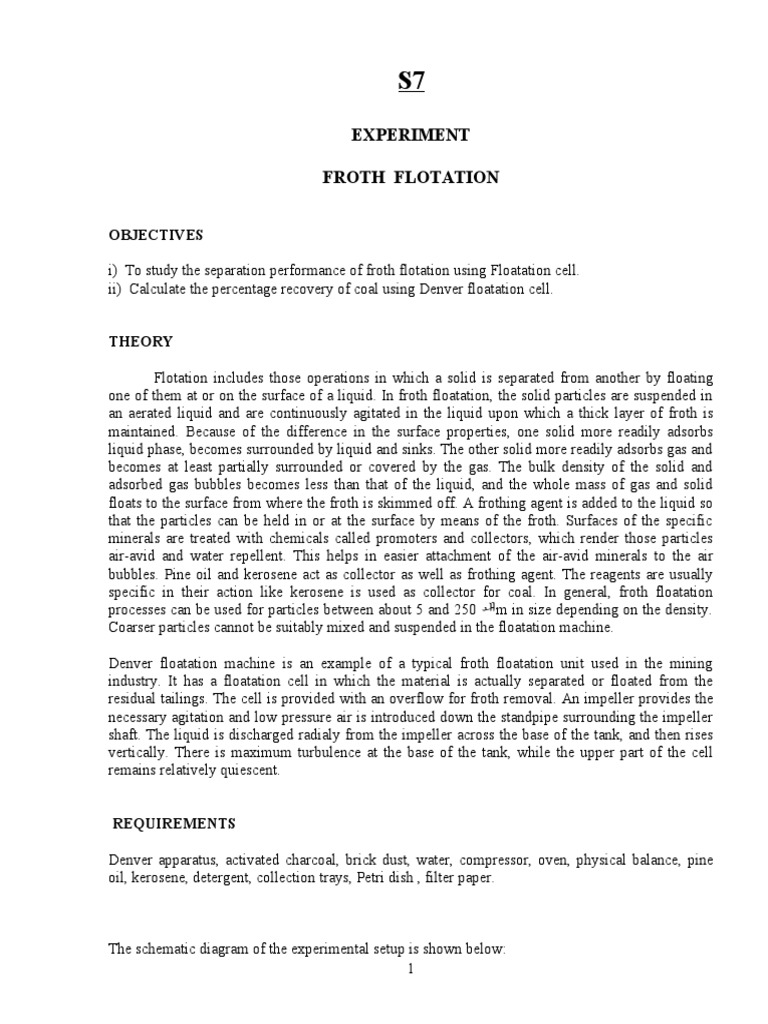 Exp - S8B - Froth Floatation | PDF | Foam | Chemical Process Engineering