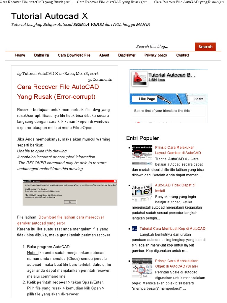 Recovery Autocad | PDF
