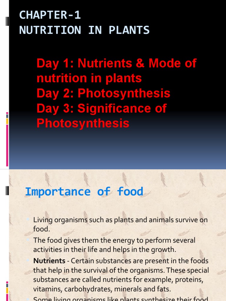 Chapter-1 Nutrition in Plants | PDF | Plants | Leaf