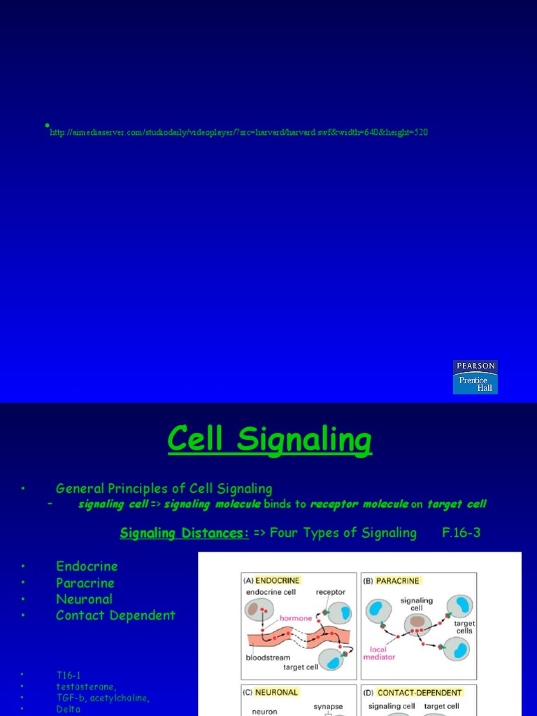 Cell Signaling | PDF | Signal Transduction | Cell Signaling