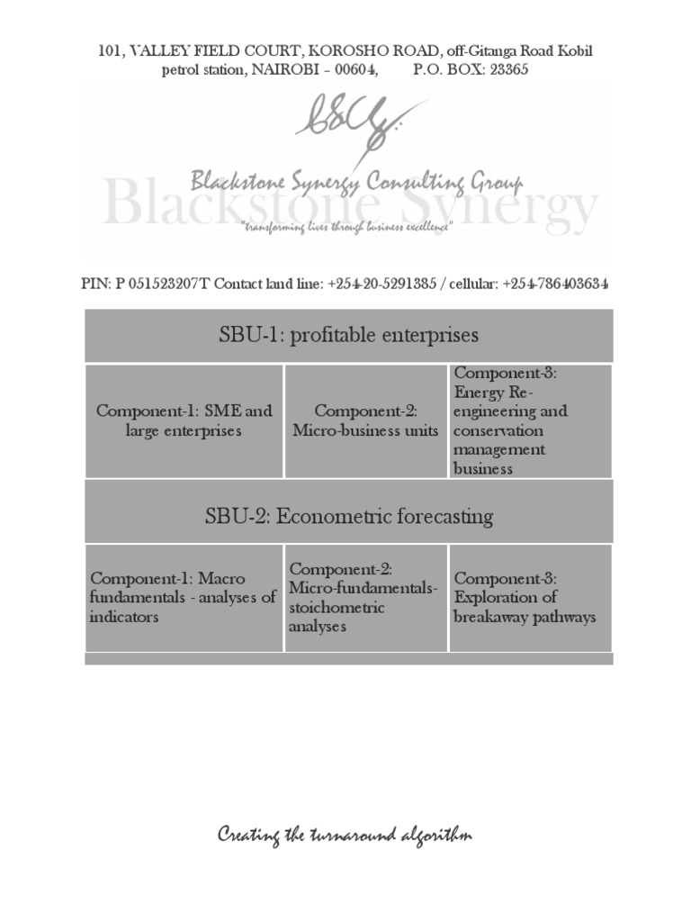 Blackstone Business and Organizational Hierarchy | PDF | Economies ...