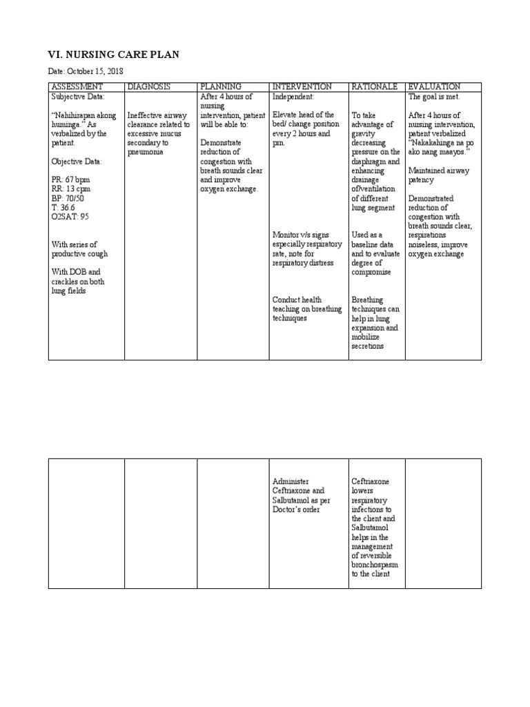 Vi. Nursing Care Plan | PDF | Breathing | Respiratory Tract