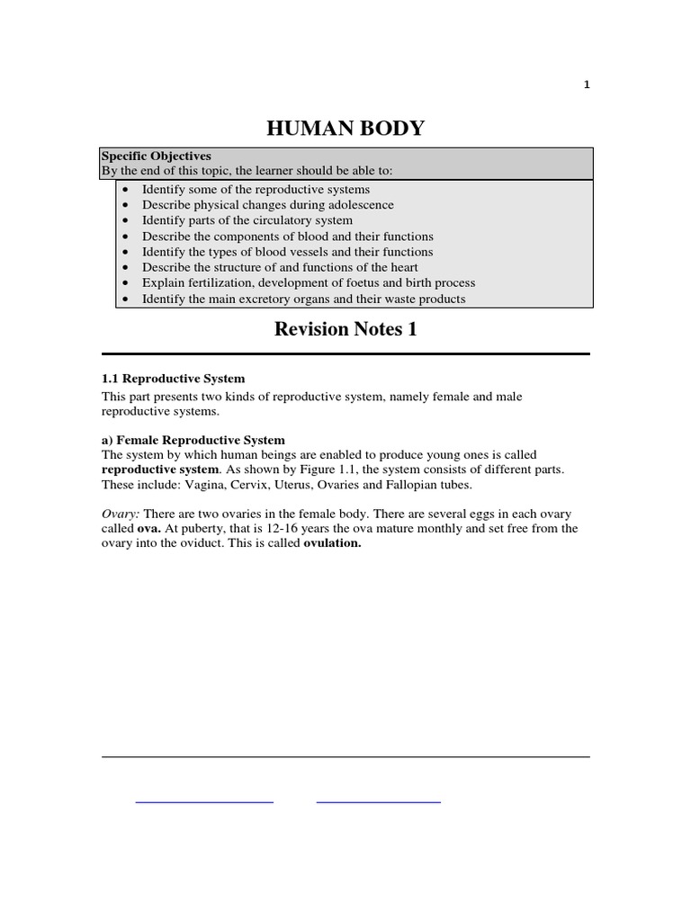 Standard 7 Science Revision Notes | PDF | Blood | Vein