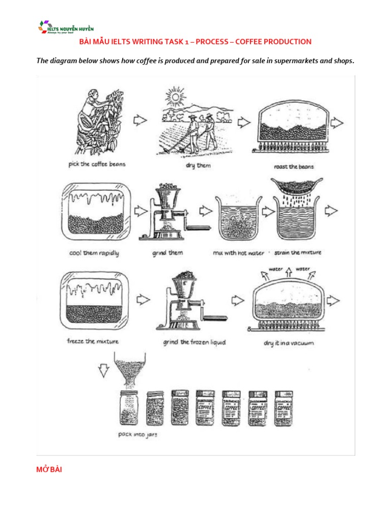 Bai Mau IELTS Writing Task 1 - Process - Coffee Production PDF | PDF