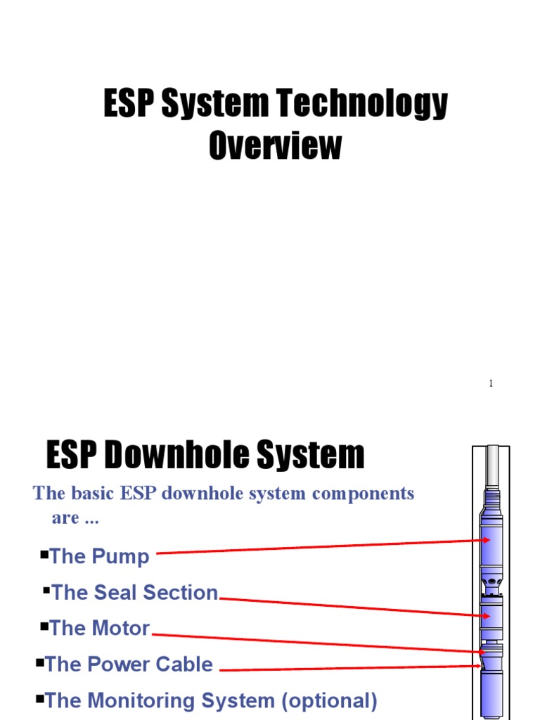 ESP Pump System Overview and Components | PDF | Electric Motor | Pump